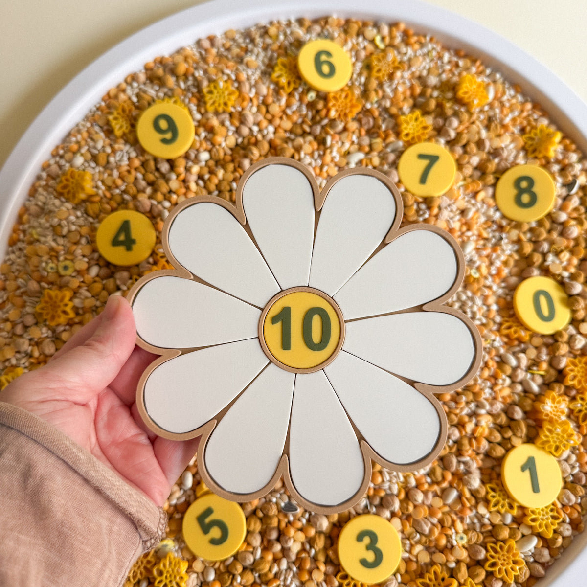 Counting Flower Petals Set, 3D-printed – NatureBasedToys