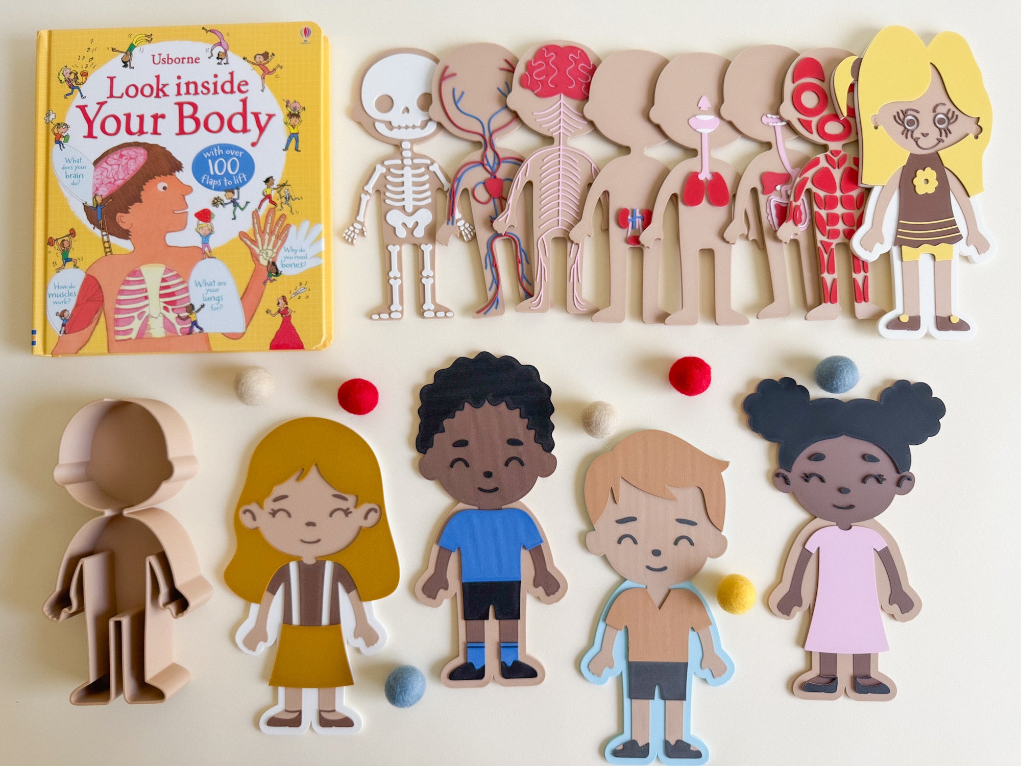 What’s Inside My Body? – A 3D-Printed Journey Through the Human Body ...