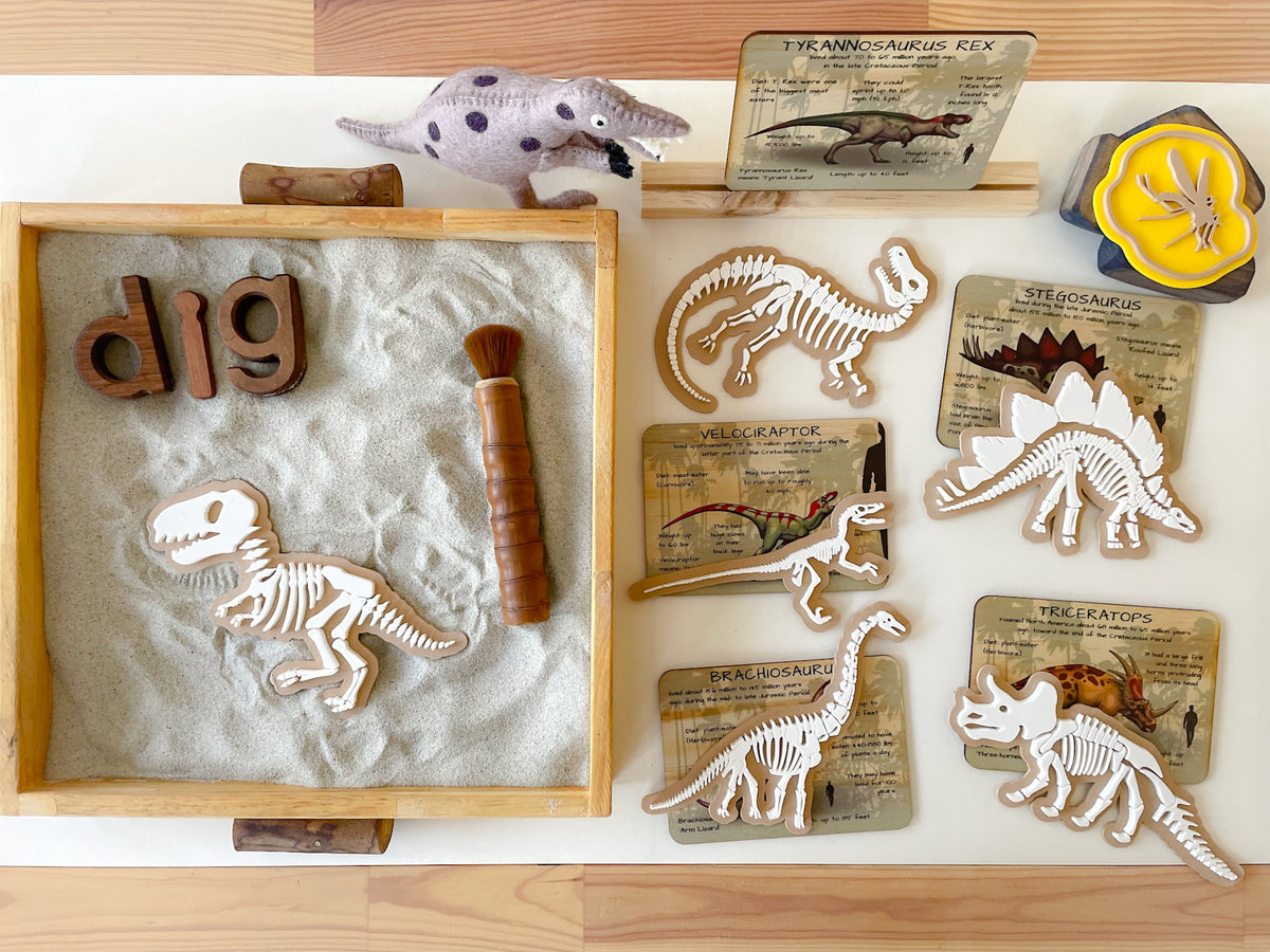 Prehistoric Fossils for Sensory Play – NatureBasedToys