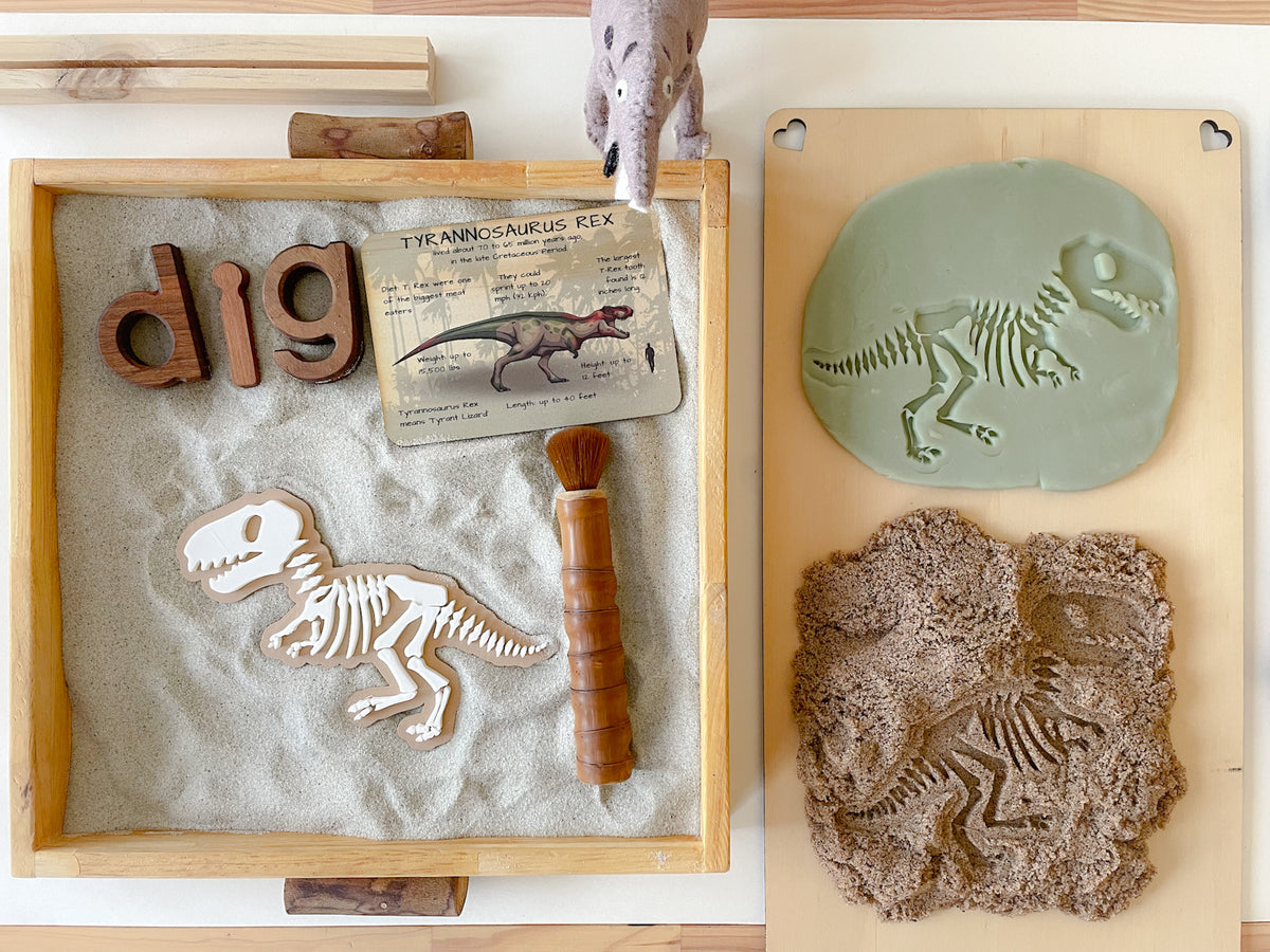 Prehistoric Fossils for Sensory Play – NatureBasedToys