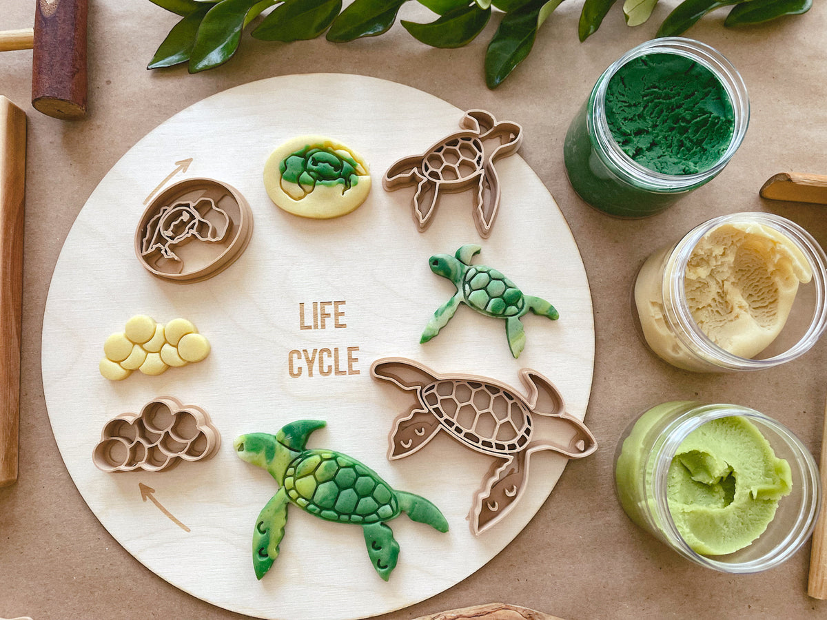 Sea Turtle Life Cycle Bio Dough Cutter set of 4 – NatureBasedToys