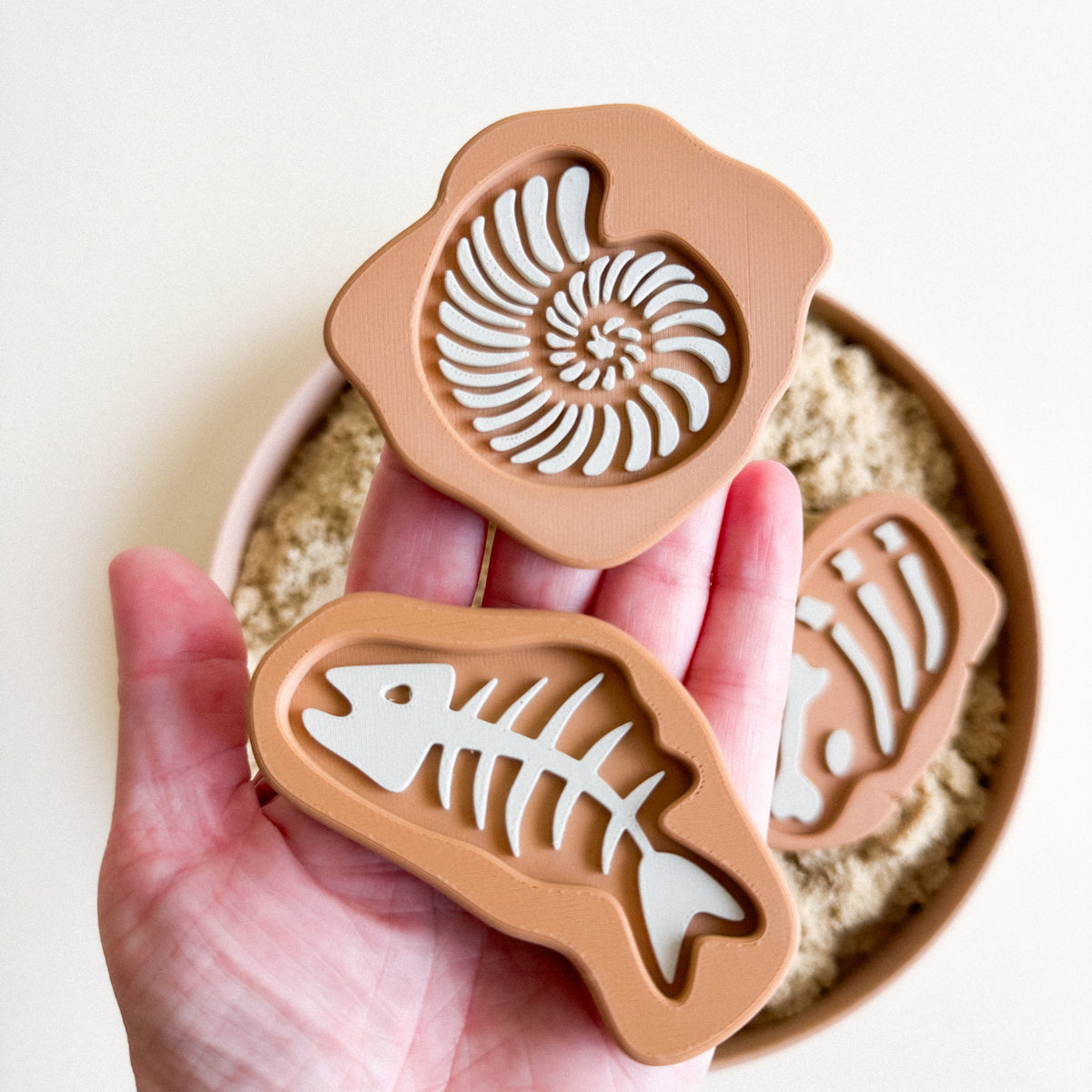 Prehistoric Rock Fossils 3D-printed set of 5 – NatureBasedToys