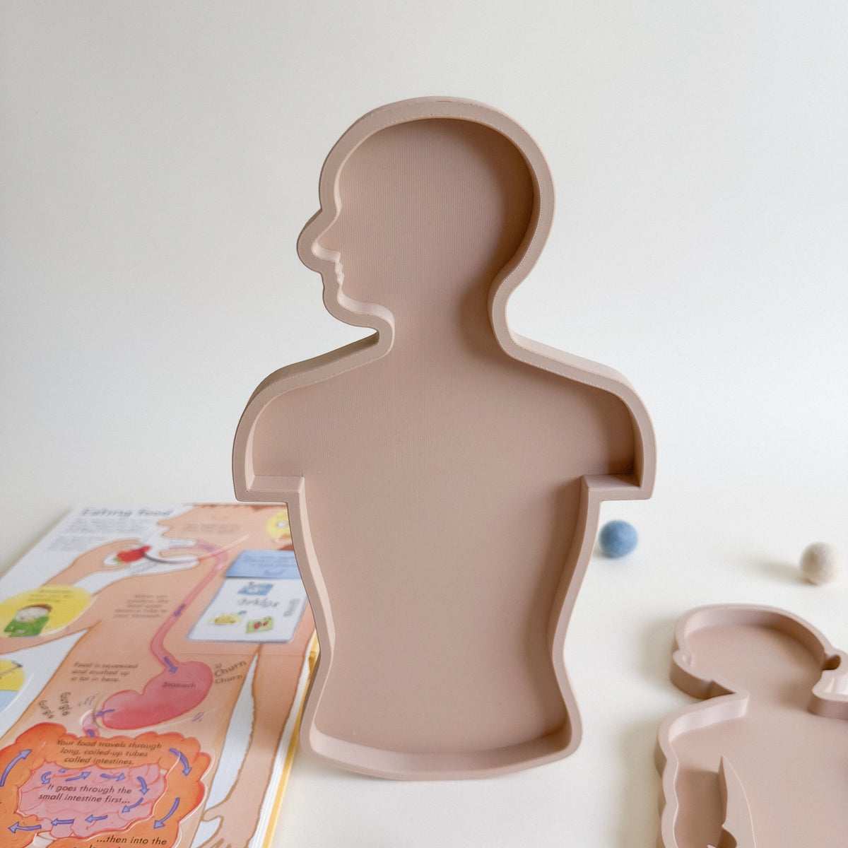 Human Body Bio Sensory Play Tray – NatureBasedToys