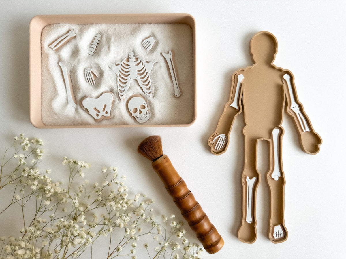 3D-printed Skeleton Puzzle with Tray – NatureBasedToys