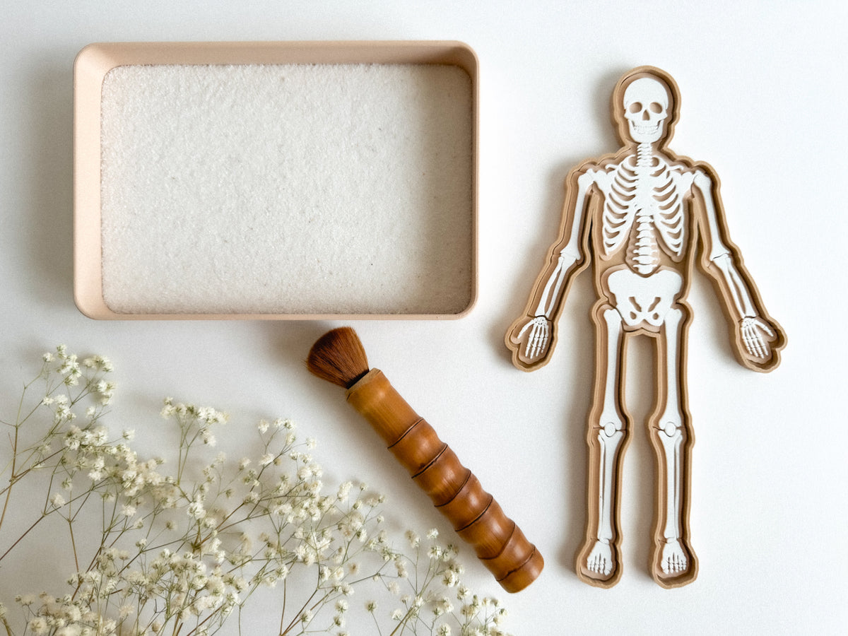 3D-printed Skeleton Puzzle with Tray – NatureBasedToys