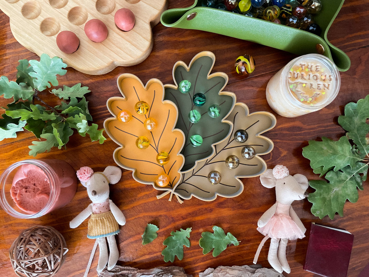 The Leafy Learner Bio Tray – NatureBasedToys