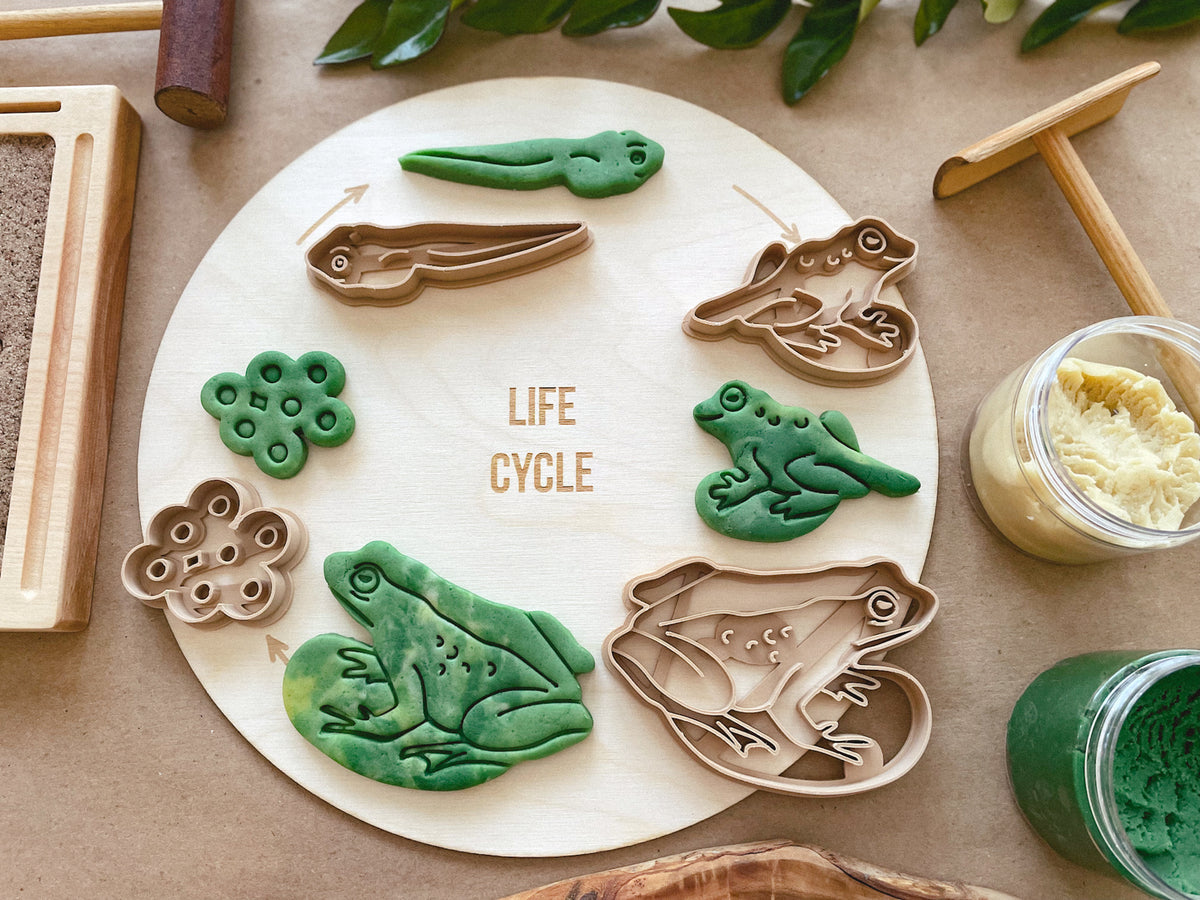 Frog Life Cycle Bio Dough Cutter set of 4 – NatureBasedToys