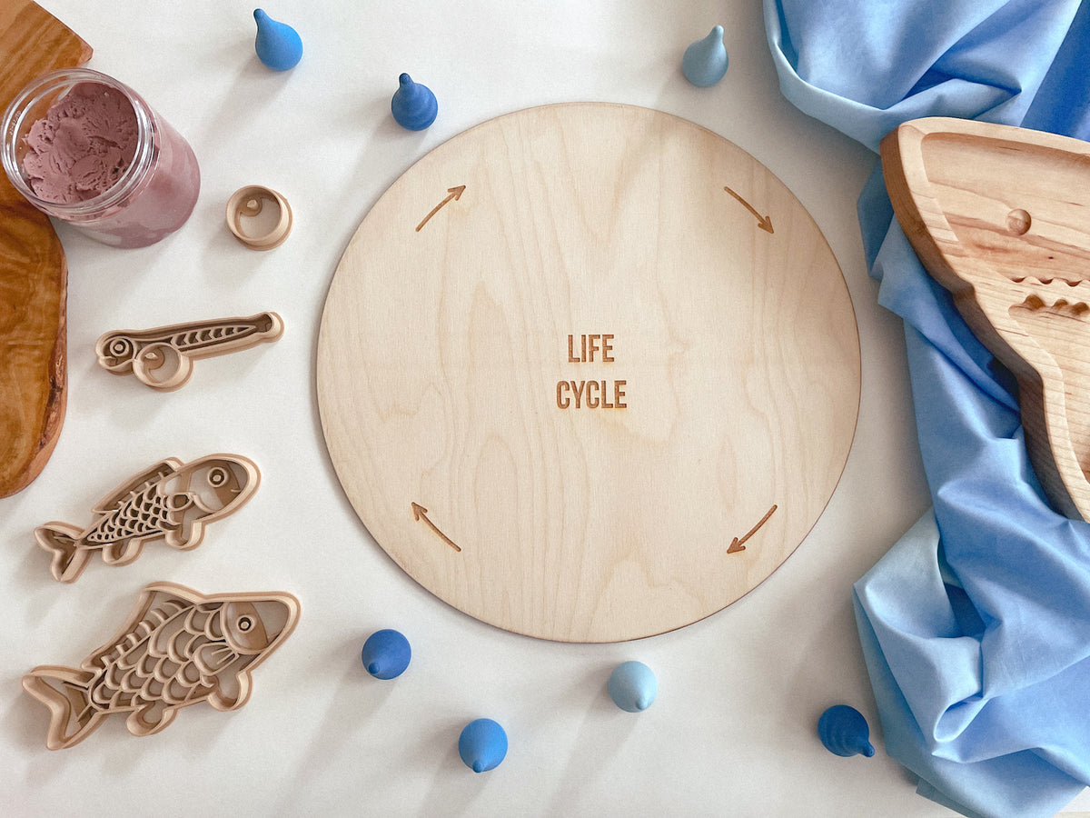 Life Cycle Board – NatureBasedToys